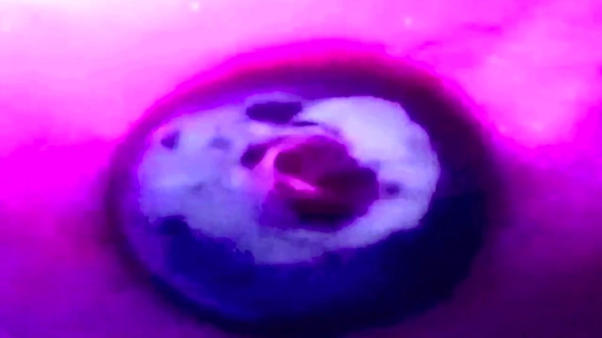 BEFORE THE ANTHROPOCENE “Unearthing the Human” by Jefferson Vimana ...